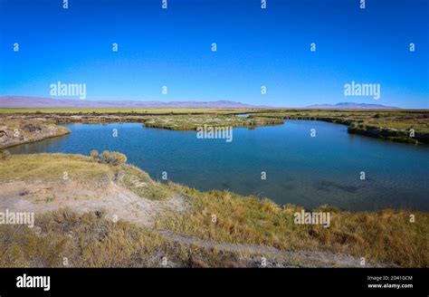 Horseshoe Springs Utah United States Jun 22 2018 Horseshoe