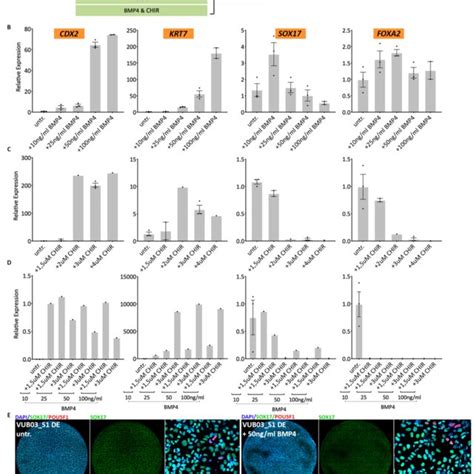 Restoration Of The Definitive Endoderm Differentiation Capacity Of