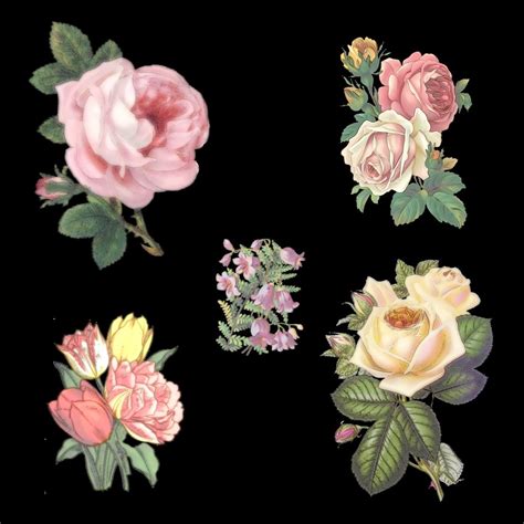 5 Vintage Flowers Clip Art Victorian Lady Flickr