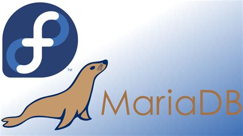 cómo instalar mariadb en fedora 36 comoinstalar me