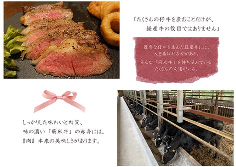 飛騨市のブランド和牛「飛米牛（ひめぎゅう）」prポスター・リーフレット 飛騨市公式ウェブサイト