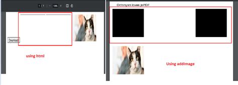 Image File Is Failing To Render On Pdf · Issue 3376 · Parallaxjspdf