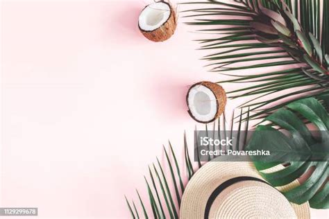 여름 구성입니다 열 대 야 자 나뭇잎 모자 파스텔 핑크 배경에 코코넛 여름 개념입니다 평면 위치 최고 보기 복사 공간 모자 모자