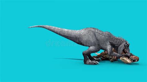 Jurassic World T Rex Vs Indominus Rex Down Blue Screen 3d Rendering