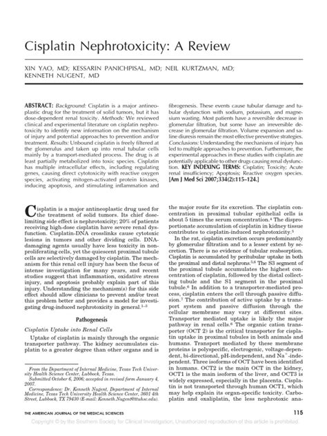 Cisplatin Nephrotoxicity Pdf Pdf Reactive Oxygen Species Apoptosis