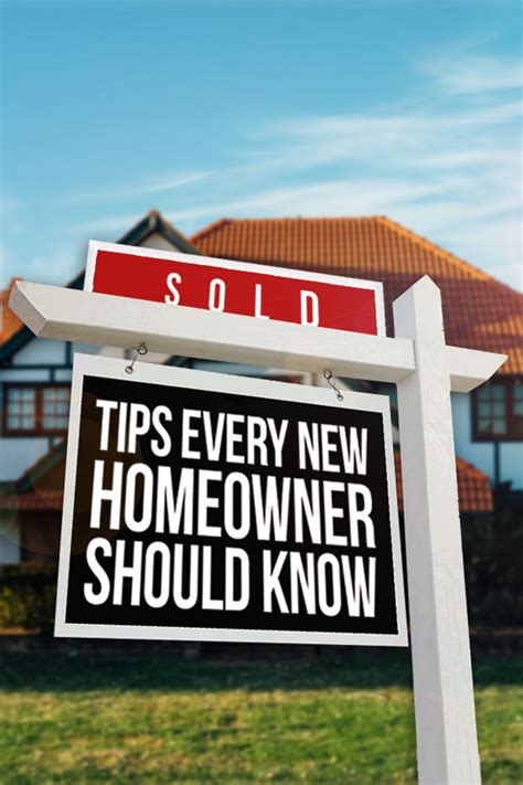 10 Tips Every New Homeowner Should Know Budget Dumpster