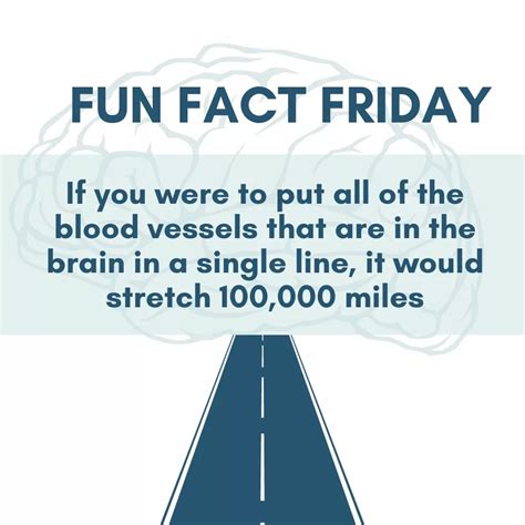Fun Fact Friday Blood Vessels New Jersey Pediatric Neuroscience