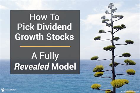 Dividend Growth Stocks Investing A Fully Revealed Model