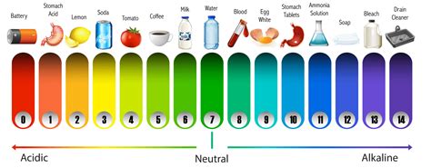 Indicators And The Ph Scale Ks3 Chemistry Revision