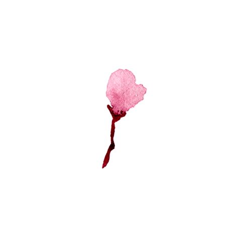 Bleed Pngs For Free Download