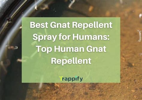 Best Gnat Repellent Spray For Humans Top Human Gnat Repellent