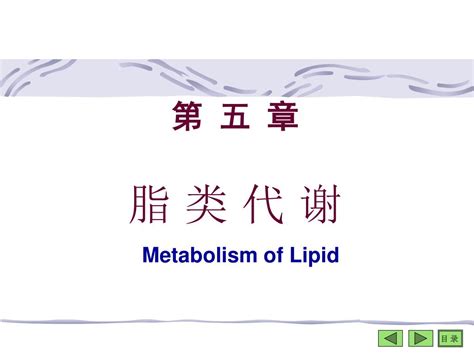 Ppt 第 五 章 Powerpoint Presentation Free Download Id3526644