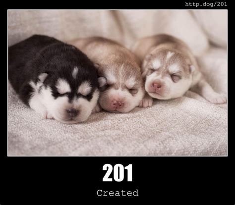 201 Created Status Code And Dogs