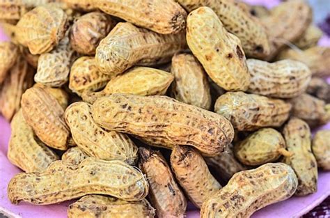 Peanut Plant Vector Art Png Peanut Plant Vector Pattern On White