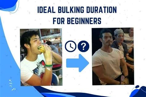 How Long Should I Bulk For Ideal Duration For Beginners