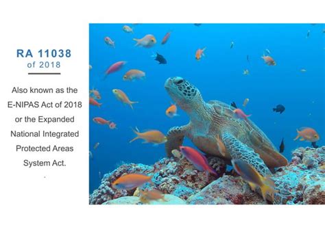 National Integrated Protected Areas System Nipas Act And E Expanded Nipas Act Of The