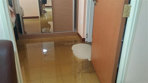 Порог между ванной и коридором - Ремонт Строй Сервис