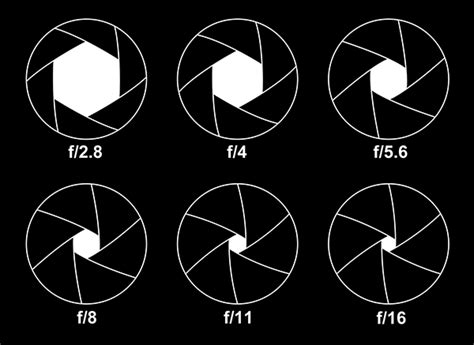 The Nikon Companion Photography Basics Understanding Stops F Stops
