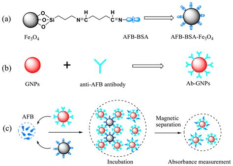 Sensors Special Issue Nanoparticle Based Biosensors