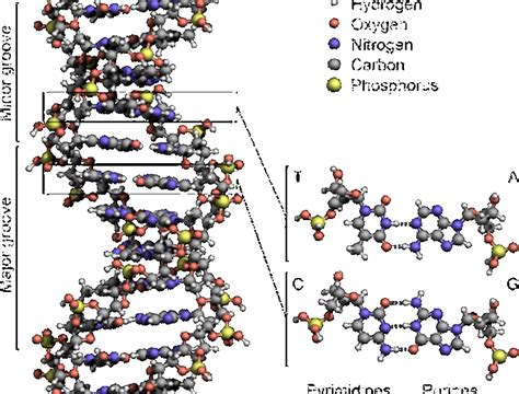 Dna Startup Biomemory Raises €5m Seed Investment