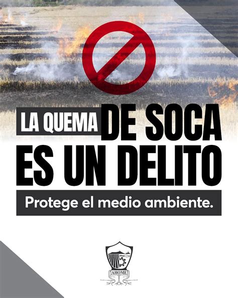 La Quema De Soca Además De Ser Un Protección Civil Ahome