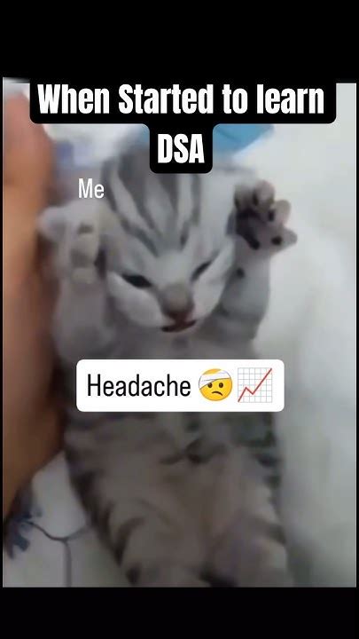 Coding Programming Dsa Databaseconcepts Viralshorts Programming Shorts