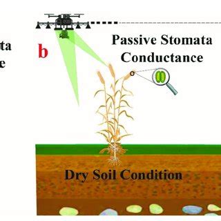 Pdf A Review Of Crop Water Stress Assessment Using Remote Sensing