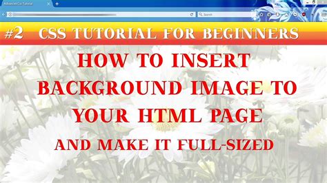 Css Tutorials For Beginners How To Insert Background Images In Html And