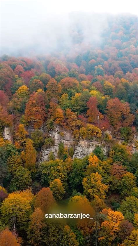 Sana Sanabarzanjee • Instagram Photos And Videos