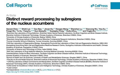 Cell 子刊：深圳先进院朱英杰团队揭示伏隔核功能亚区的奖赏处理 深圳市 新浪新闻