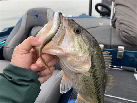 30日の琵琶湖ガイド、ボトストで連発でした 杉戸繁伸船長blog 琵琶湖バスフィッシングガイド日本海小浜釣り