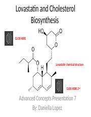Presentation 7 Lovastatin And Cholesterol Pathwaypptx Lovastatin And