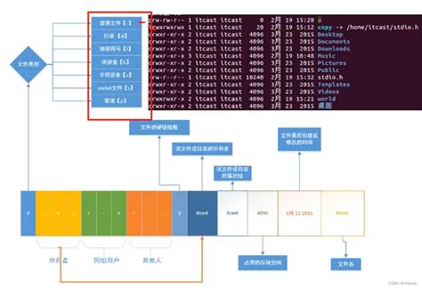 Linux学习笔记——文件的查找与检索find Name 命令查找文件 Csdn博客