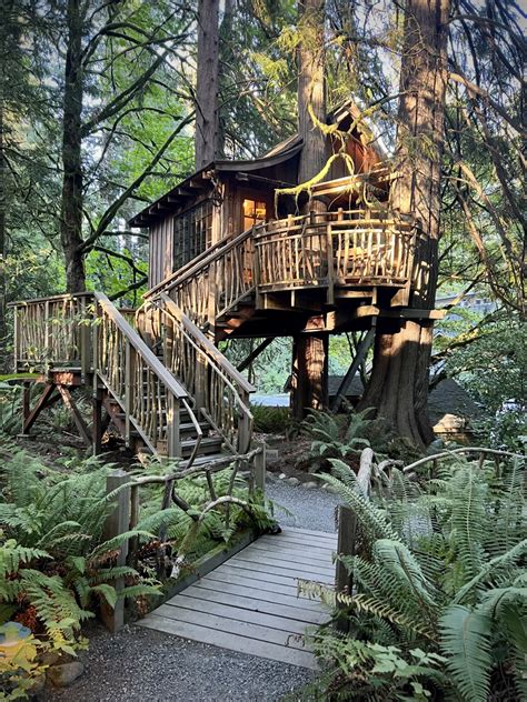 Discover Treehouse Point A Must Visit In Washington