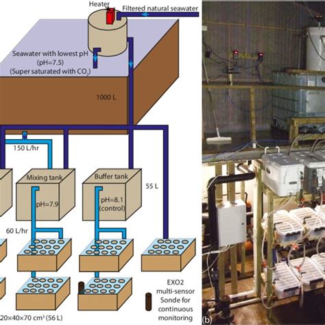 Experimental Setup Of Ph Controlled Culture Experiment In Tromsø Download Scientific Diagram
