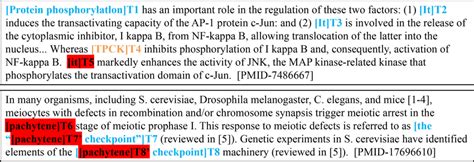 Example Of Linking Errors Of Identical Mentions Affected By Similar Download Scientific Diagram