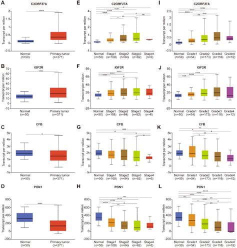 Relationship Between The Expression Of Candidate Genes And