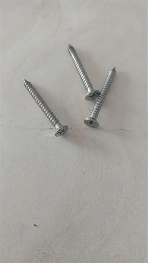 Stainless Steel Screw At ₹ 15piece In Rajkot Id 2853456882697