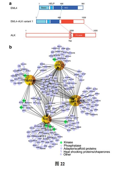 【7802】alk Sam Note
