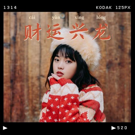 春节新年趣味个人晒照plog模板素材 稿定设计