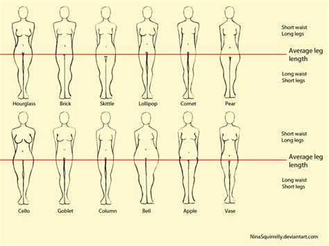Refernce Body Shape Chart Drawing Women Body Shapes Chart Body Type