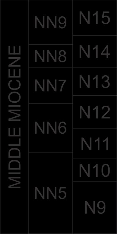 Identified Calcareous Nannofossils Taxa Download Scientific Diagram