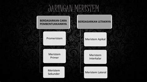 Jaringan Tumbuhan Pptx