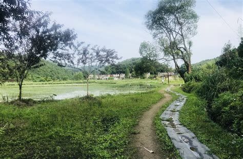 探访世外陶源景德镇进坑村 寻五代宋代窑址工作