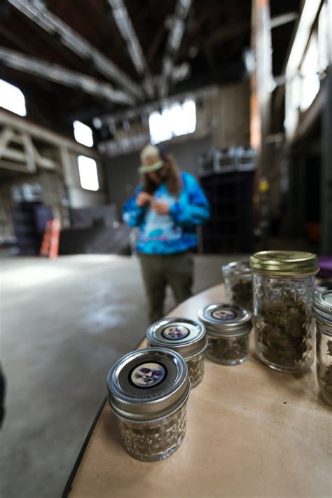 Erik Nugshots Talks Headstash And Pandemic La Weekly