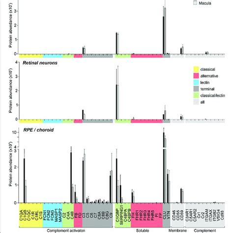 Cell Type Specific Complement Expression In The Combined Macula And