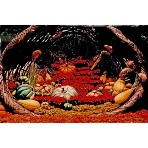 Cornucopia Spectrum Gallery Online Shop