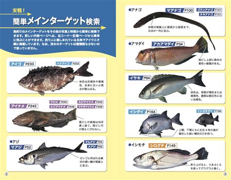 楽天ブックス 増補改訂版 釣魚図鑑 釣った魚がすぐわかる！347種網羅！毒魚・危険魚対策マニュアル付 豊田 直之