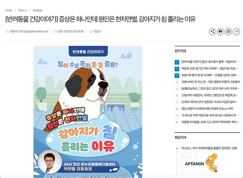 강아지가 거품섞인침을 흘리는 이유