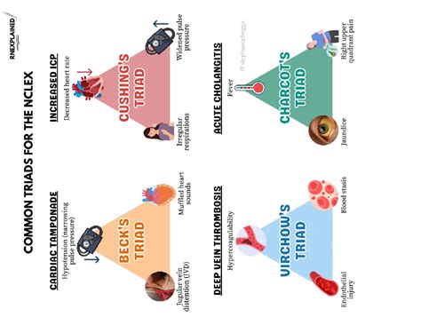 Triad Summary Theory And Practice Education Advanced Acute Care Partnerships Rnexplained